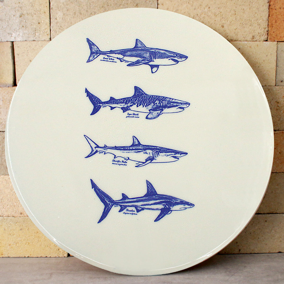 Pizza Stone - Shark Collection - In-Glaze Decal – Chatham Pottery