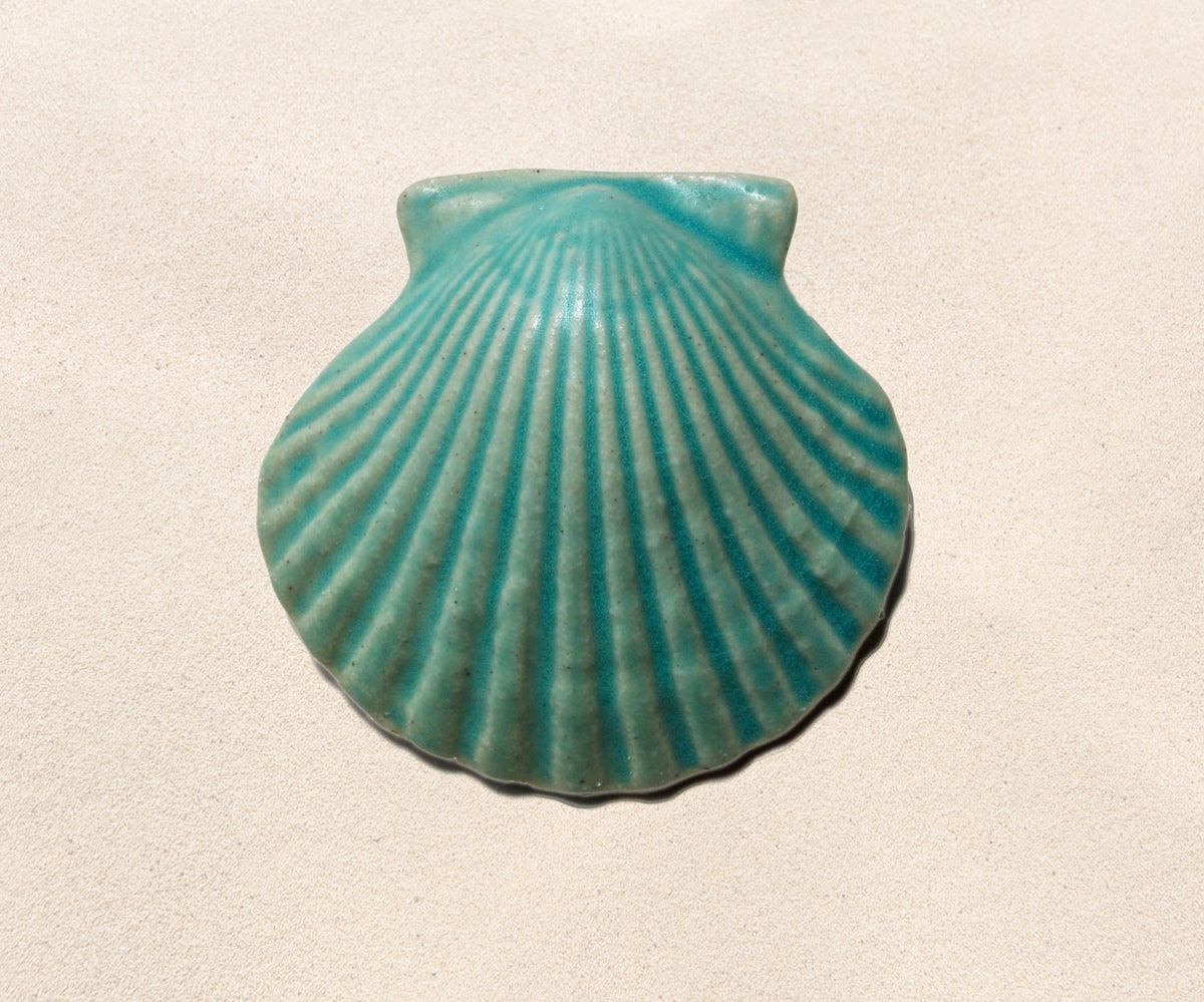 Shell Paperweights - Caribbean Blue – Chatham Pottery