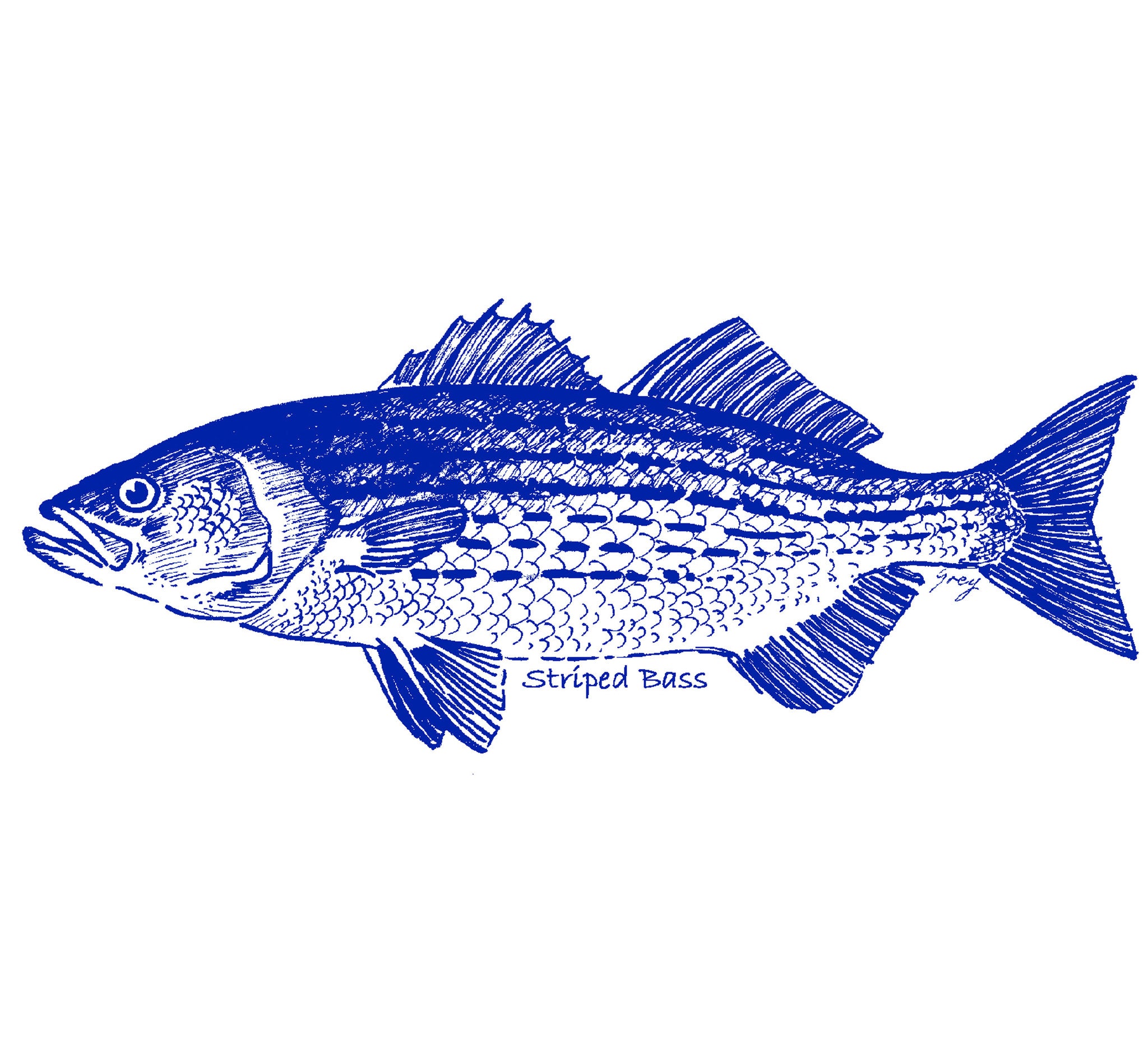 In-Glaze Decal - Striped Bass - Chowder Mug – Chatham Pottery